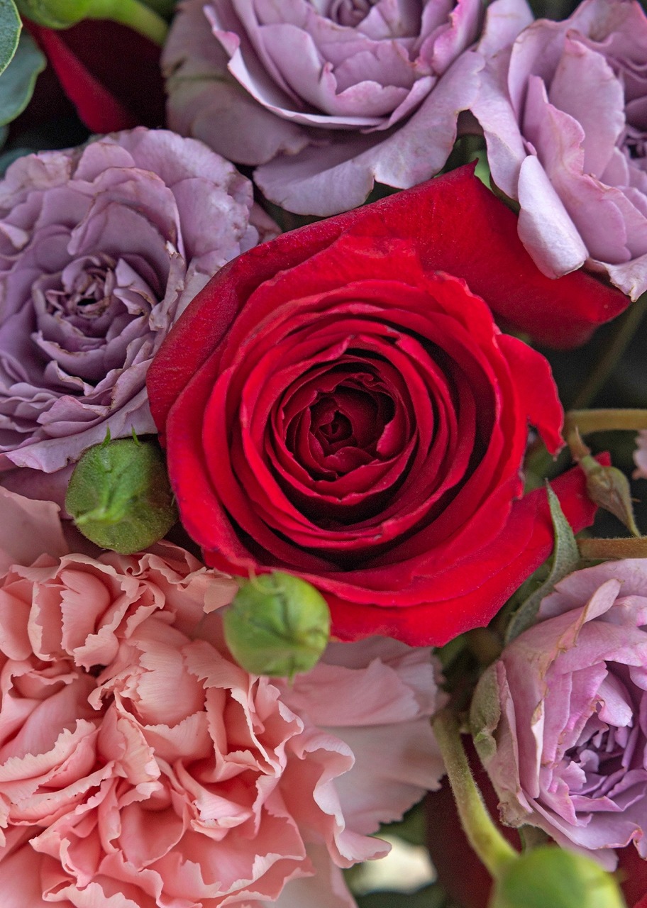 12 Rosas rojas y mini rosas en jarrón jaspeado platinado