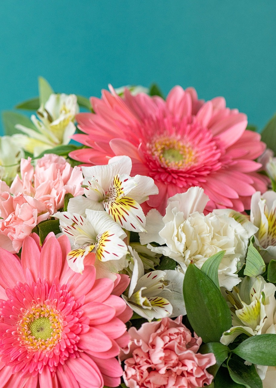 Gerberas con claveles y Brownies Marthas