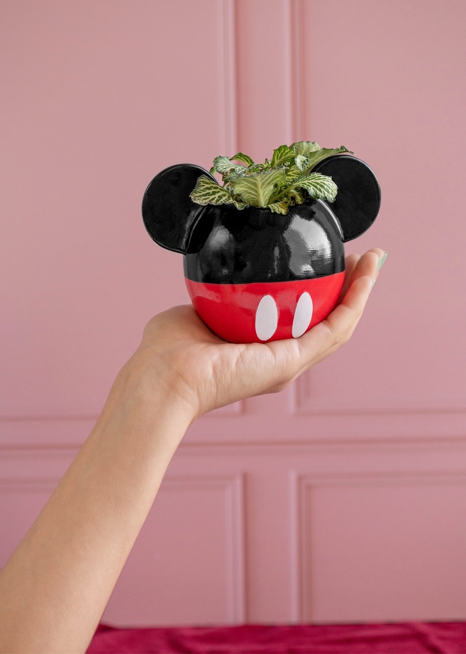 Mini planta en maceta "Mickey Mouse"