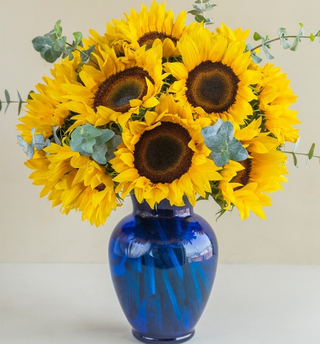 15 Girasoles en Jarrón Azúl