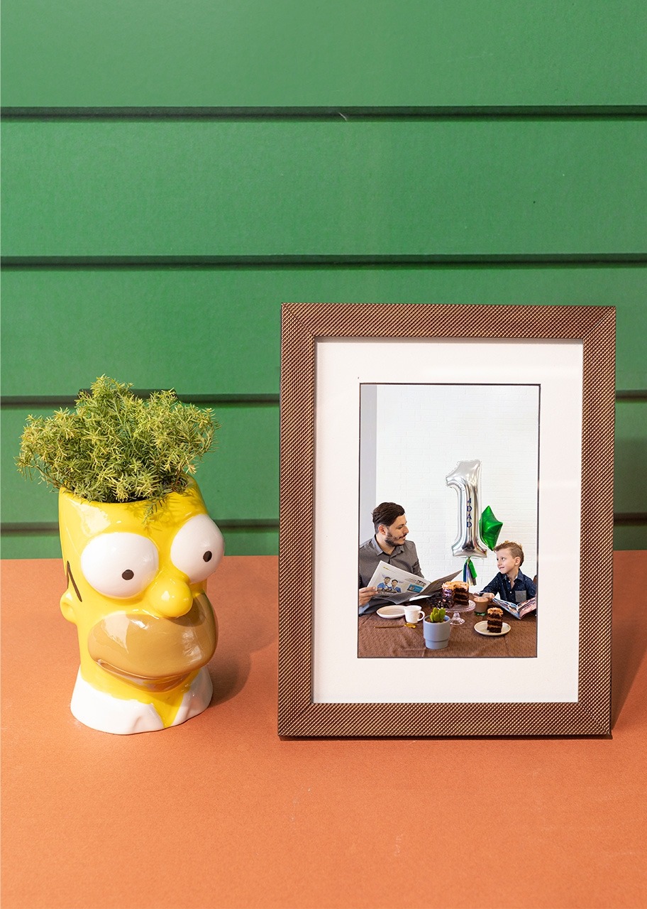 Marco Personalizado y Planta Homero