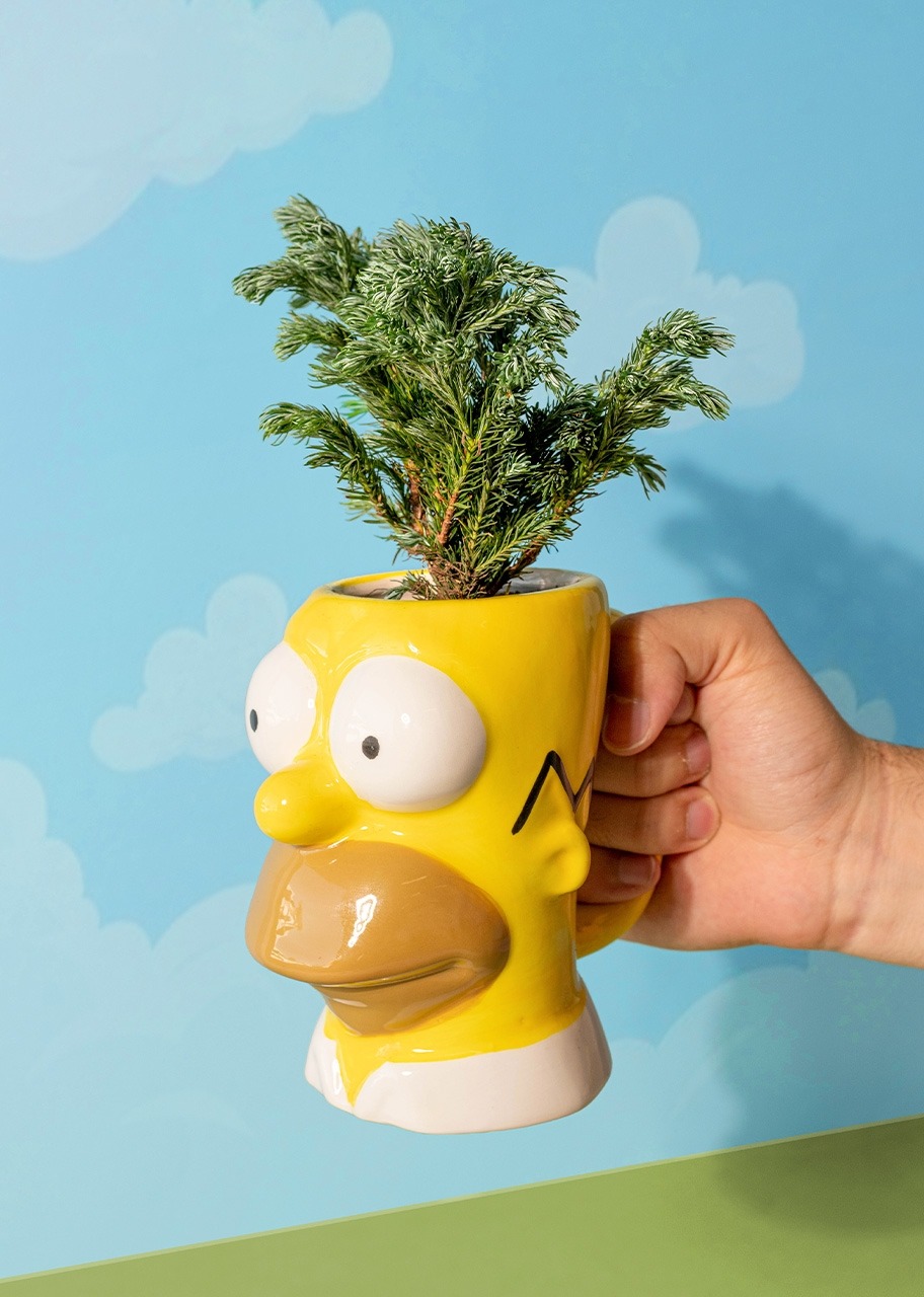 Marco Personalizado y Planta Homero