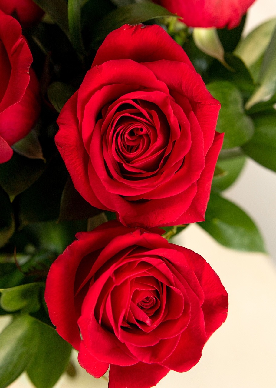 12 Rosas Rojas con 2 pasteles individuales