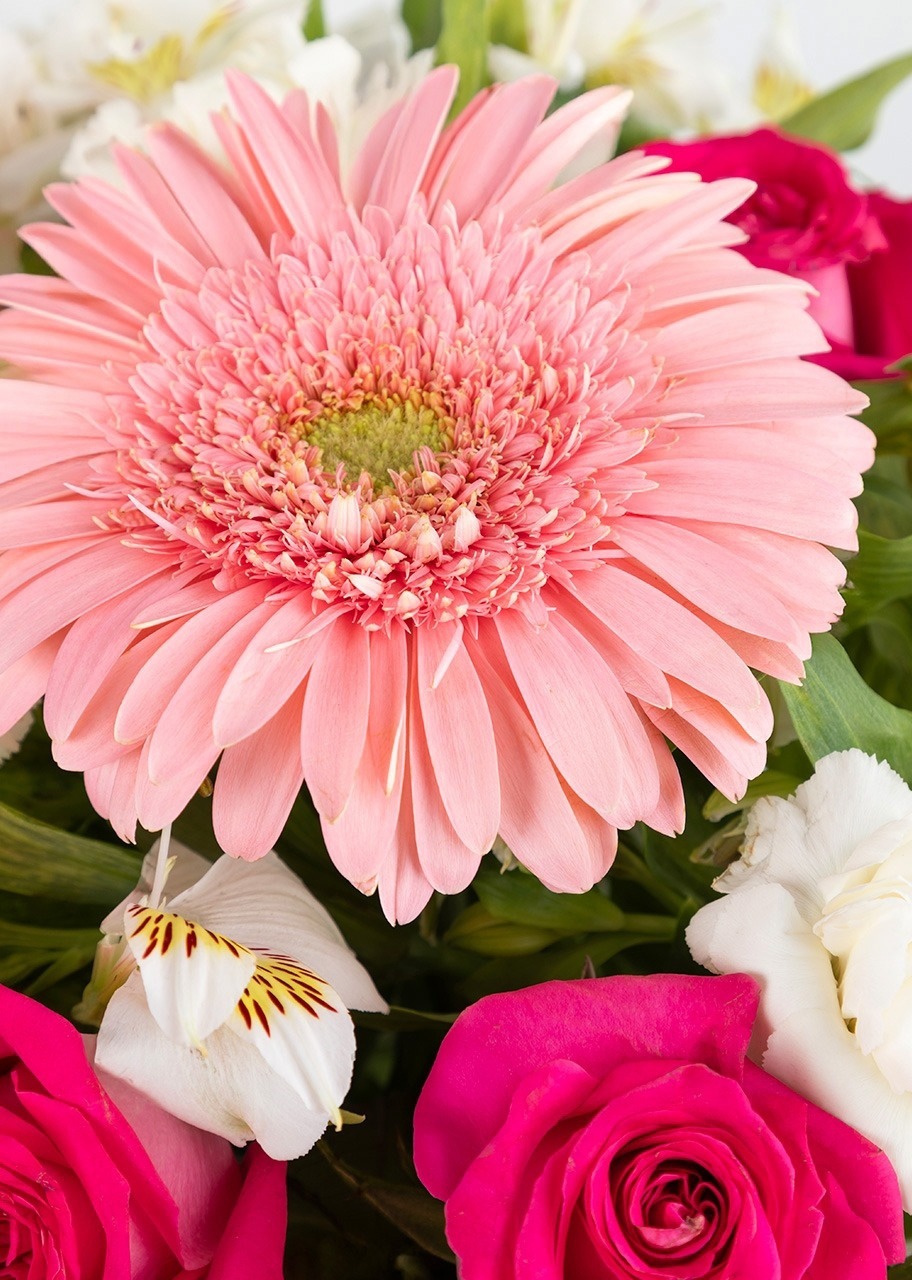 Arreglo 5 Gerberas y Rosas con Globo