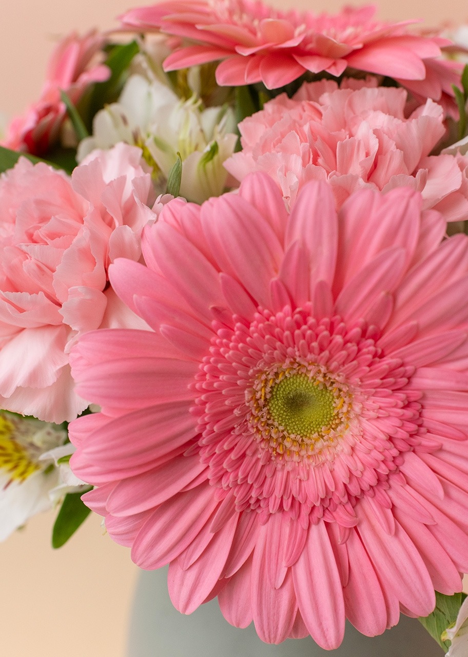 Arrangement of Gerberas and Carnation Roses