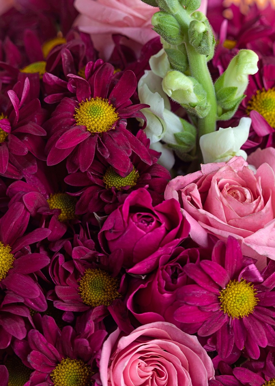 Arreglo de Rosas y Margaritas