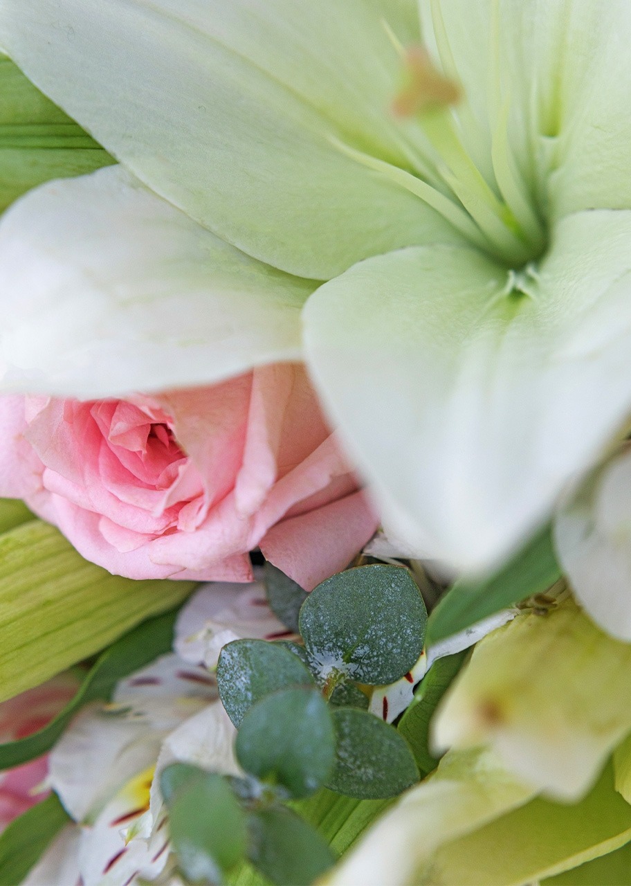 Ramo con rosas y lilys (2562) y Globo Estrella "Congrats Grad"