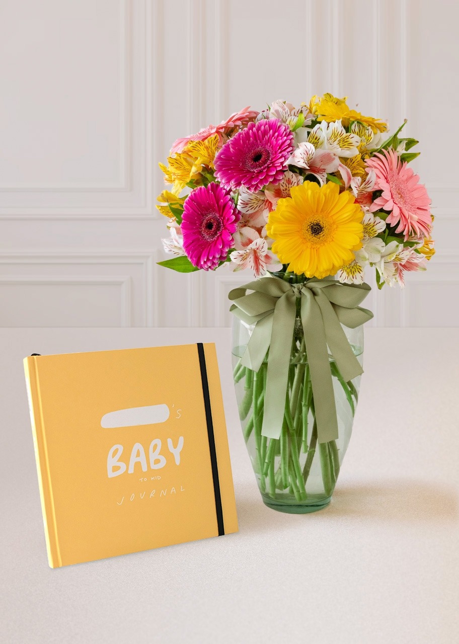 Gerberas Multicolor con The Baby Journal