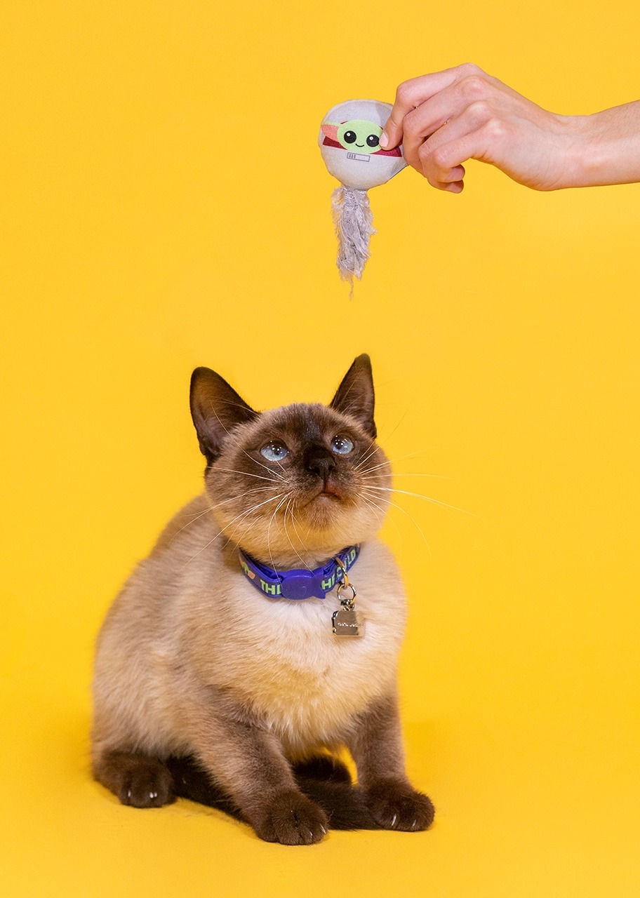 Kit para Gato "Baby Yoda" Unitalla