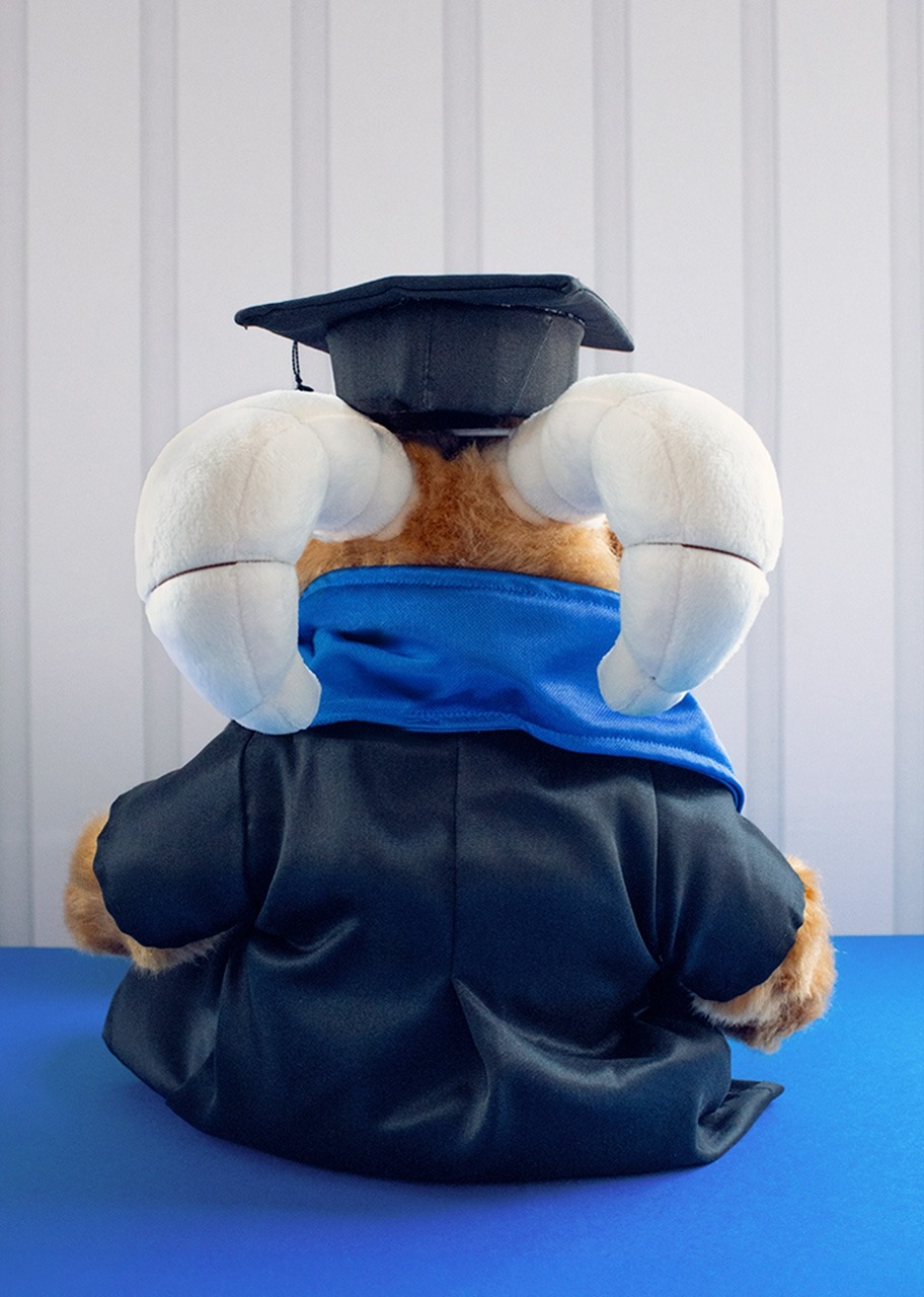 Peluche graduado del tec