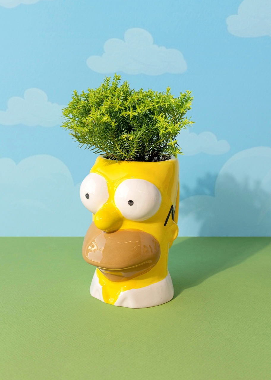 Planta sanserveria en taza Homero